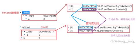 C多态详解（虚函数重写、接口继承、虚函数表详解）