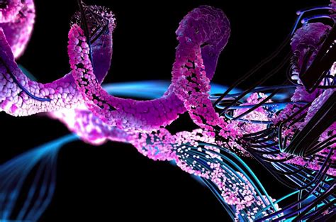 Ai蛋白质结构预测｜前meta研究人员成立evolutionaryscale，完成4000万美元种子轮融资 智源社区