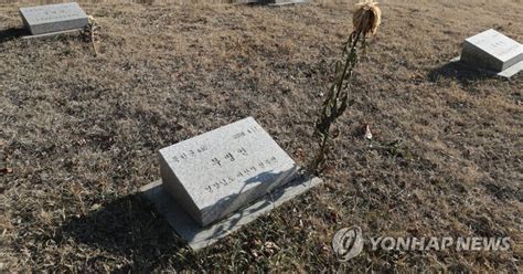 북한군 묘지에 놓인 꽃