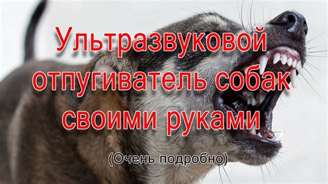 Ультразвуковой отпугиватель собак своими руками Youtube