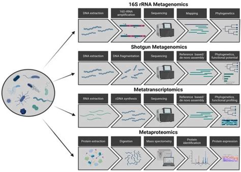 Microbiomes Their Function And Cancer How Metatranscriptomics Can