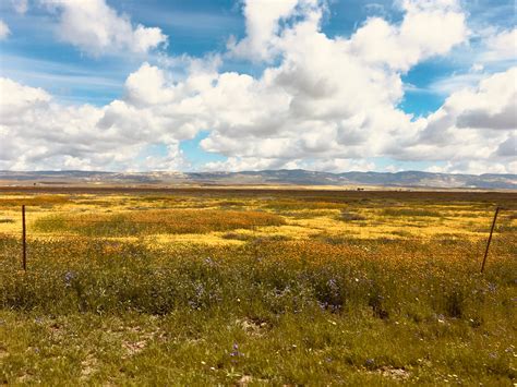 Every Pattern Needs A Passage Forge Project