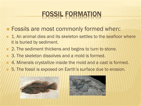 Ppt Processes Of Rock And Fossil Formation Powerpoint Presentation Free Download Id 1867944