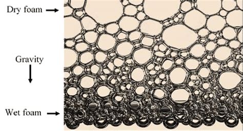 Foam Structure In The Form Of Dry And Wet And Its Variation Under The