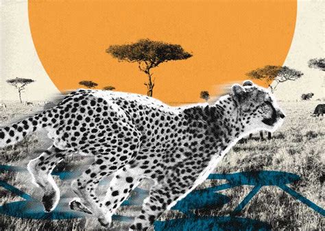 Cbdc And Dlt To Speed Up Settlements In Securities Market