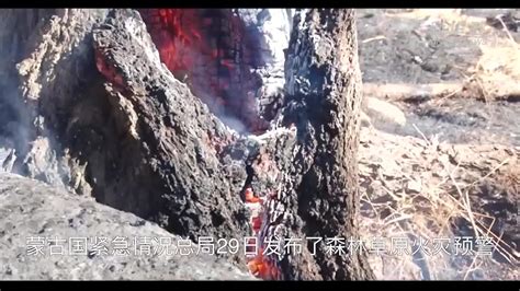 蒙古国发布森林草原火灾预警 凤凰网视频 凤凰网