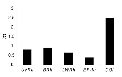 Bayesian Estimates Of Rate Multiplier Parameter M By Gene Partition