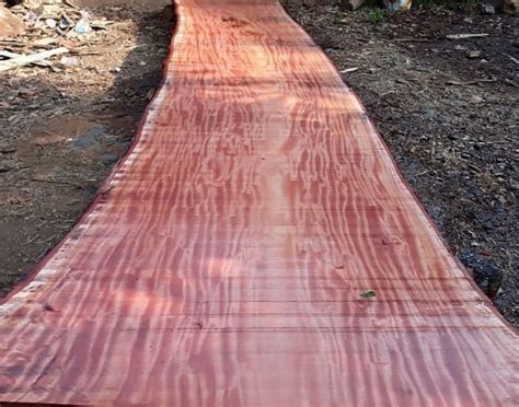 Plots De Bois Bois