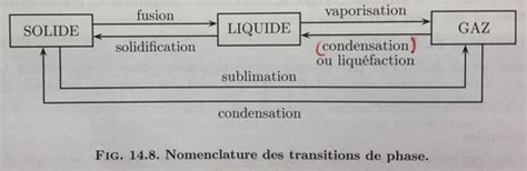 Étude science chapitre Flashcards Quizlet