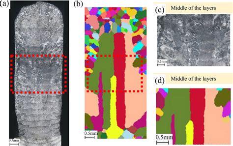 Comparison Of Solidification In Experimental And Numerical Results A Download Scientific