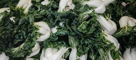 Prevent Cname File In Jekyll From Being Deleted During The Build Process Sai Kiran Sripada