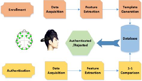 Figure 1 From Online Electroencephalogram Eeg Based Biometric