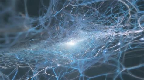 energy pulses and flows through a complex network of interconnected