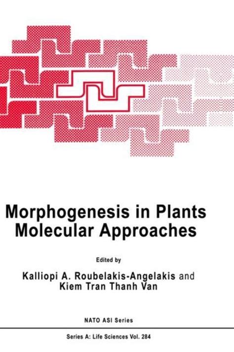 Morphogenesis In Plants Molecular Approaches 9780306445972