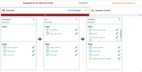 Continuous Integration And Deployment For Salesforce Flexagon