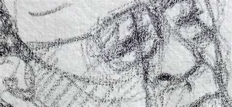 Elder Heads Scribblah