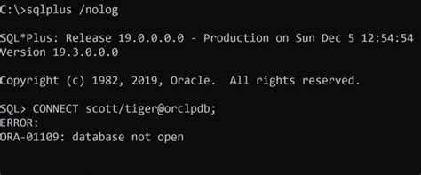 Oracle Archives