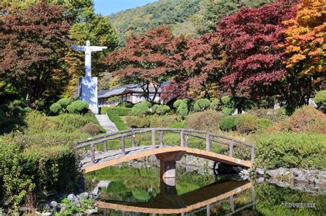 [제천] 가을 단풍 명소 단풍 네이버 블로그