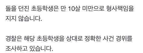 70대 할아버지 초등생이 던진 돌에 사망 유머 움짤 이슈 에펨코리아