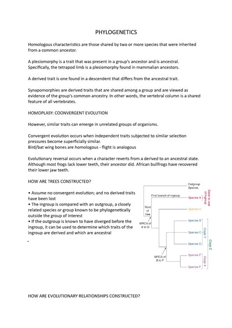 Phylogenetics Part 2 Week 3 Summary Phylogenetics Homologous Characteristics Are Those