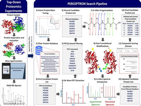 Bioinformatics Pipeline For Data Analysis Upwork