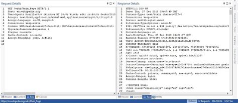 Network Packet Analyzer