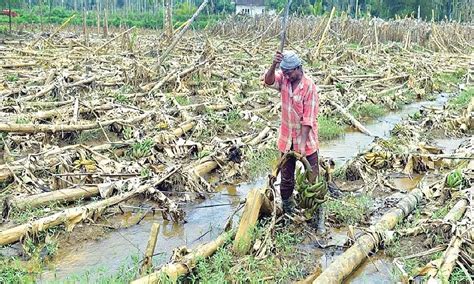 Shifting Weather Patterns Making Farming Unviable