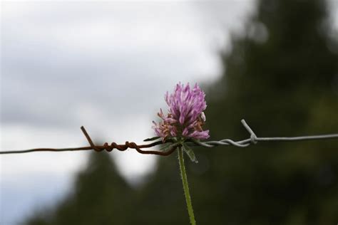 51 Cr Series Royalty Free Photos And Stock Images Shutterstock