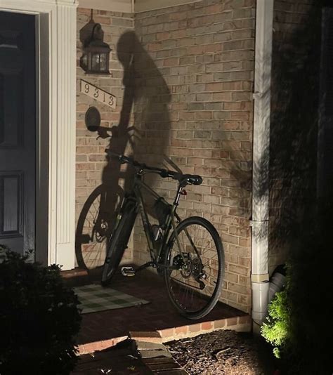 Bizarre Shadows Are Showing Off Sights And Images We Cannot Mistake