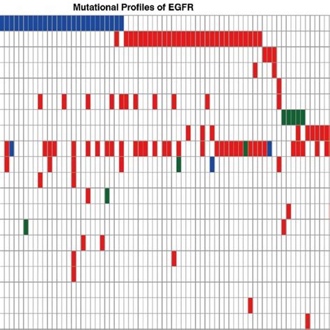 Mutational Spectrum Of 94 Patients Holding Egfr Mutations A
