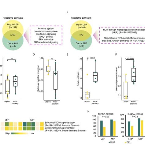 Multi Perspective Investigation On Intratumor Heterogeneity Ith Download Scientific Diagram