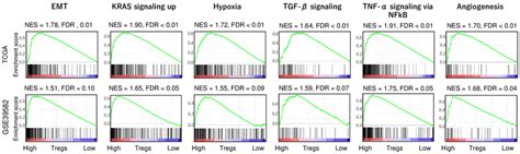 Gene Set Enrichment Assay Gsea With Significantly Enriched Gene Sets