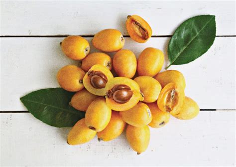 비파 효능 5가지와 먹는법 및 부작용 비파나무 네이버 블로그