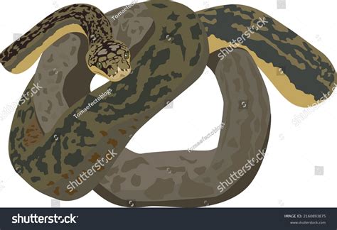 Drop Down 1 Python Snake Snake Drawing Snake Art🕡 Descubra O Universo Colorido E Criativo Do