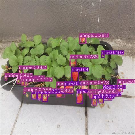助力草莓智能自动化采摘，基于嵌入式端超轻量级模型leyolo全系列【nsml】参数模型开发构建果园种植采摘场景下草莓成熟度智能检测识别系统果园采摘自适应管理系统 Csdn博客