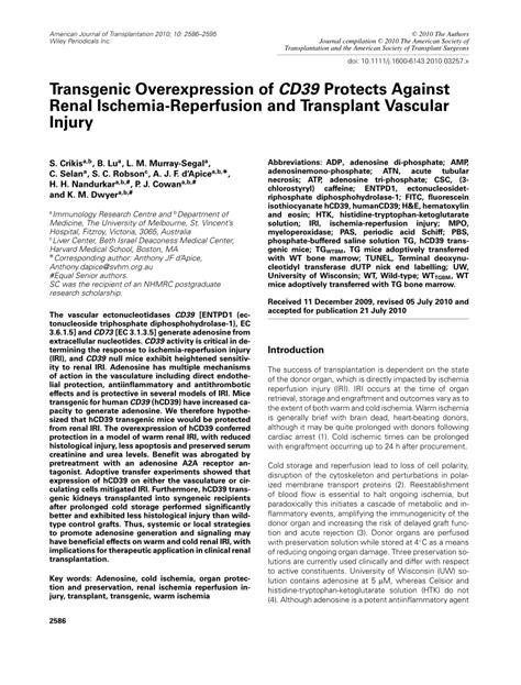 Pdf Transgenic Overexpression Of Cd39 Protects Against Renal Ischemia Reperfusion And