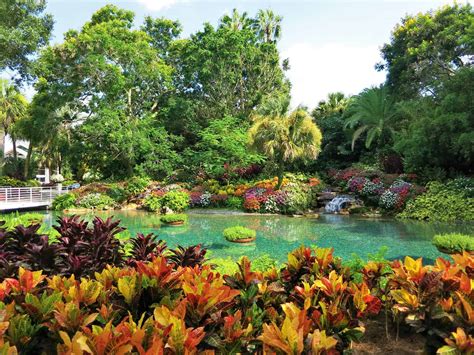 Explore The Beauty Of Floridas Botanical Gardens Plantly