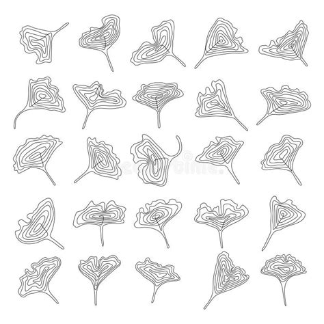 Jinkgo Leaf Stock Illustrations 3 Jinkgo Leaf Stock Illustrations