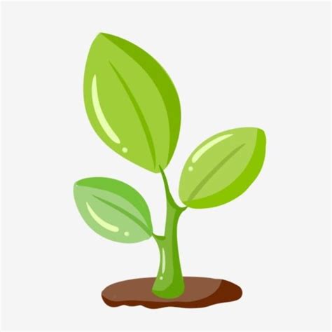 작은 새싹 일러스트 모종 종자 발아 토양 그림 작은 새싹 그린 발아 씨앗 일러스트 Png 일러스트 및 Psd 이미지 무료