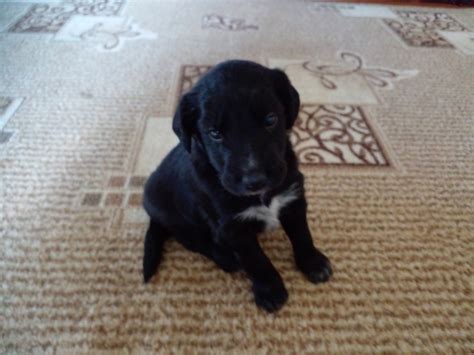 Подслушано Мураши Мурашинский район Мураши́ — город с 1944 в России административный центр