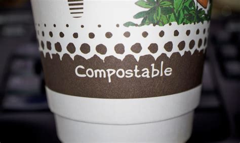 Compostable Coffee Cups Why Certifications Are Essential