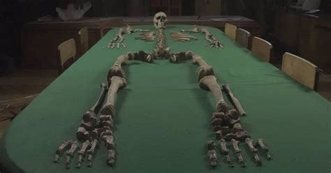 Estrategia De La Edad De Piedra Para Evitar La Endogamia Infobae