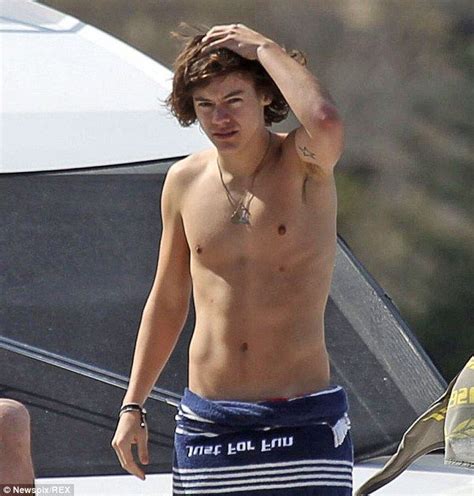 Ab Tastic Harry Revealed That Liam Sings So Loudly In The Shower The