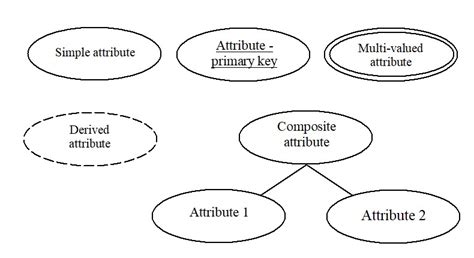 Databases The Concept Of ER Model The Concept Of Entity Attributes