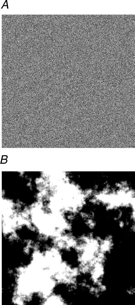 Visual Stimuli Generated Either By Choosing Ran Dom Intensity Values