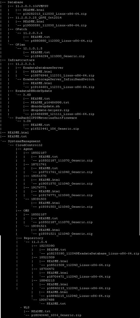 Exadata Data Base Machine Exadata Patching
