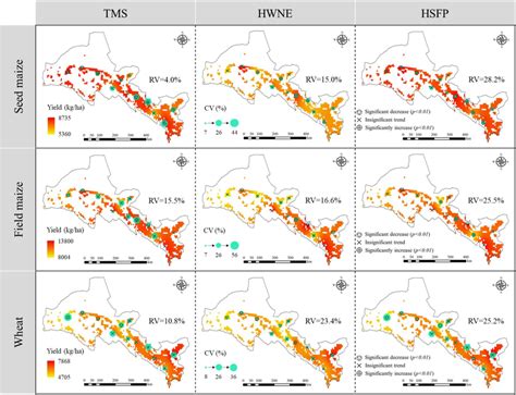 Spatial Distribution Temporal Variance And Spatial Variability Of
