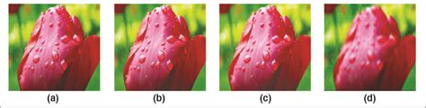 Image Compression Using Discrete Cosine Transform Technique Efy