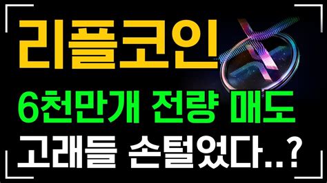 리플코인 Xrp 6000만개 전량 매도 고래들 손털었다 Youtube