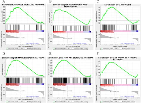 Gene Set Enrichment Analysis Gsea Of Degs A Vegf Signaling Pathway